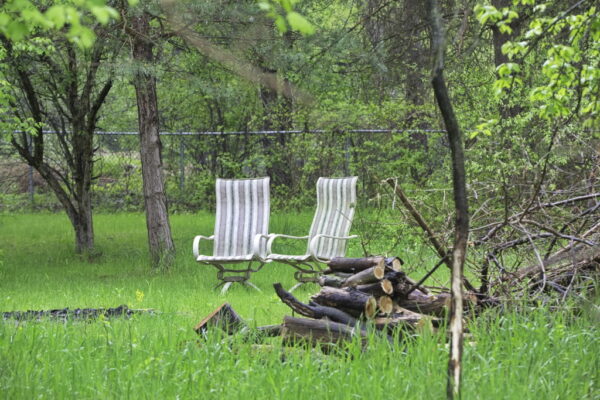 Backyard – The New American Digest