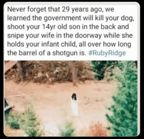 Ruby Ridge – The New American Digest
