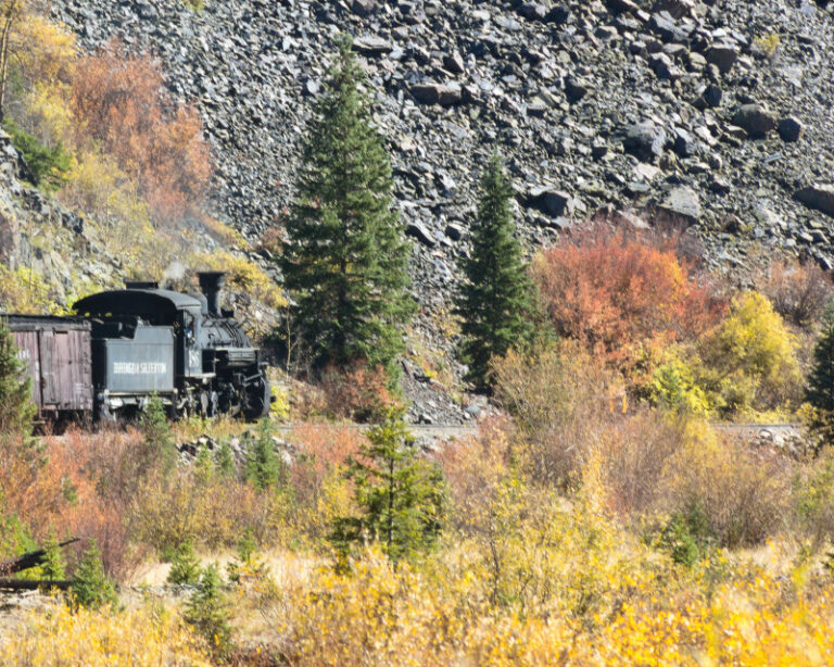 The New American Digest – For Followers of Gerard Van der Leun's Fine Work