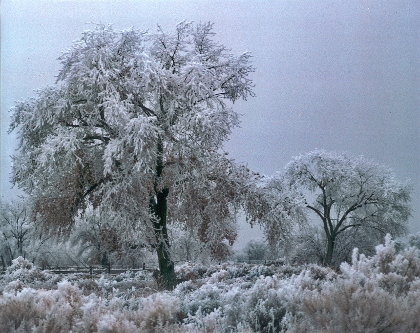 Pogonip – The “White Death” – The New American Digest